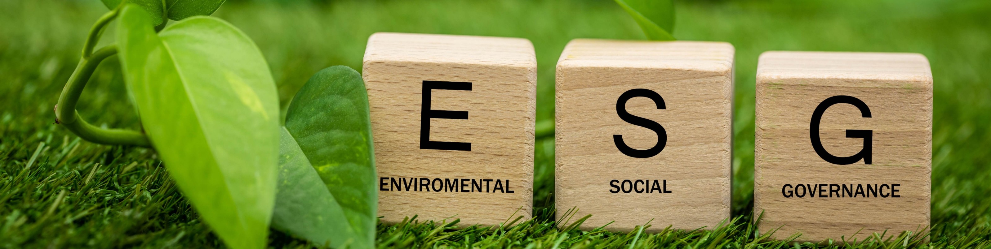 UN Principles for Responsible Banking: Principle 5 – Governance ...