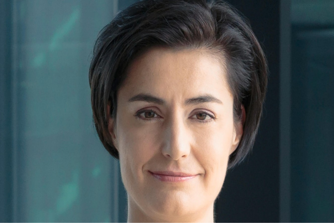 Boards of Raiffeisen Bank International