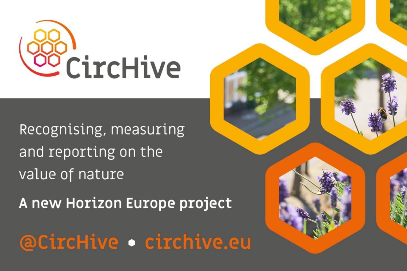 Responsible banking | Raiffeisen Bank International AG